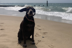 Site Plan - Echo Beach - Jackson Developments