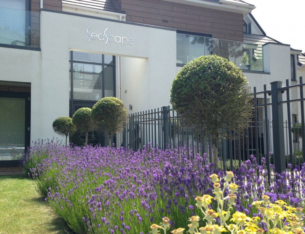 garden – Jackson Developments